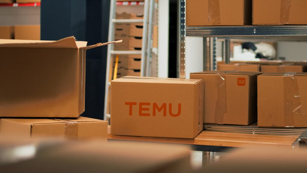 Temu pour les professionnels : tout ce que vous devez savoir